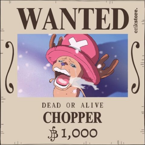 Recompensas One Piece: ¿Las más altas? ¿Los Mugiwara?