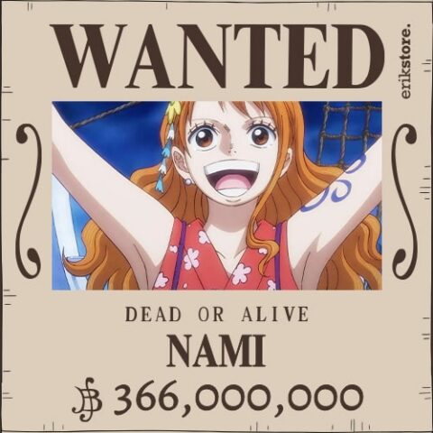 Recompensas One Piece: ¿Las más altas? ¿Los Mugiwara?