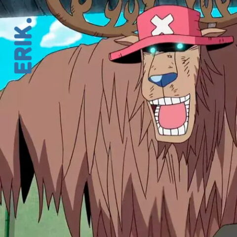 Todas las transformaciones de Tony Tony Chopper | One Piece